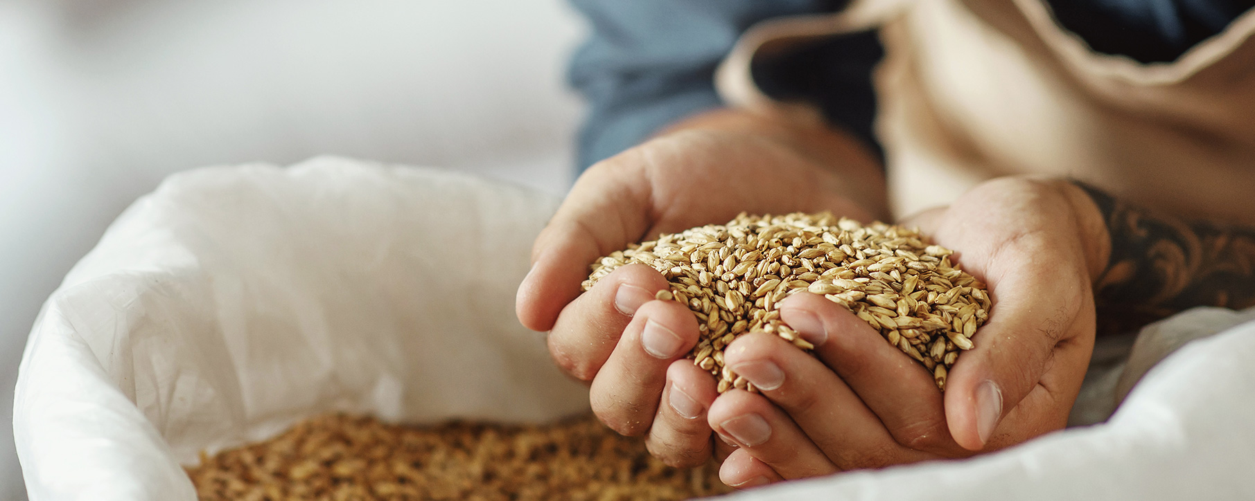 What are Malts? – Barahsinghe Beer